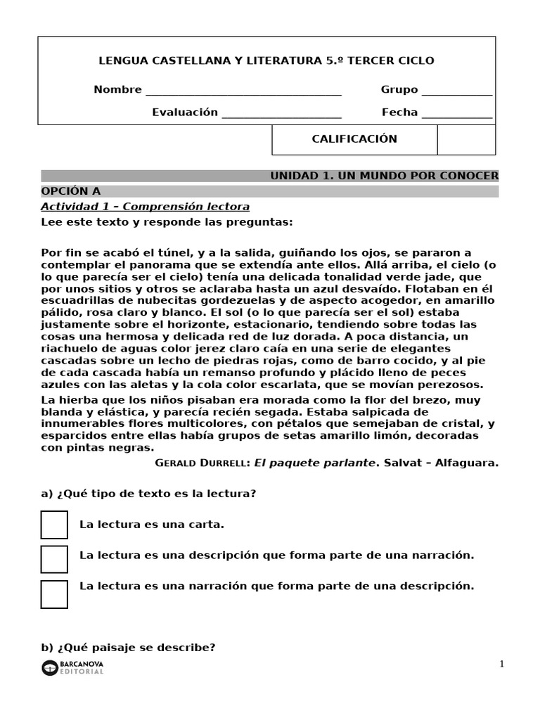 CONTROL TEMA 1 Y 2 C ASTELLANO 5º | PDF | Color | Comunicación