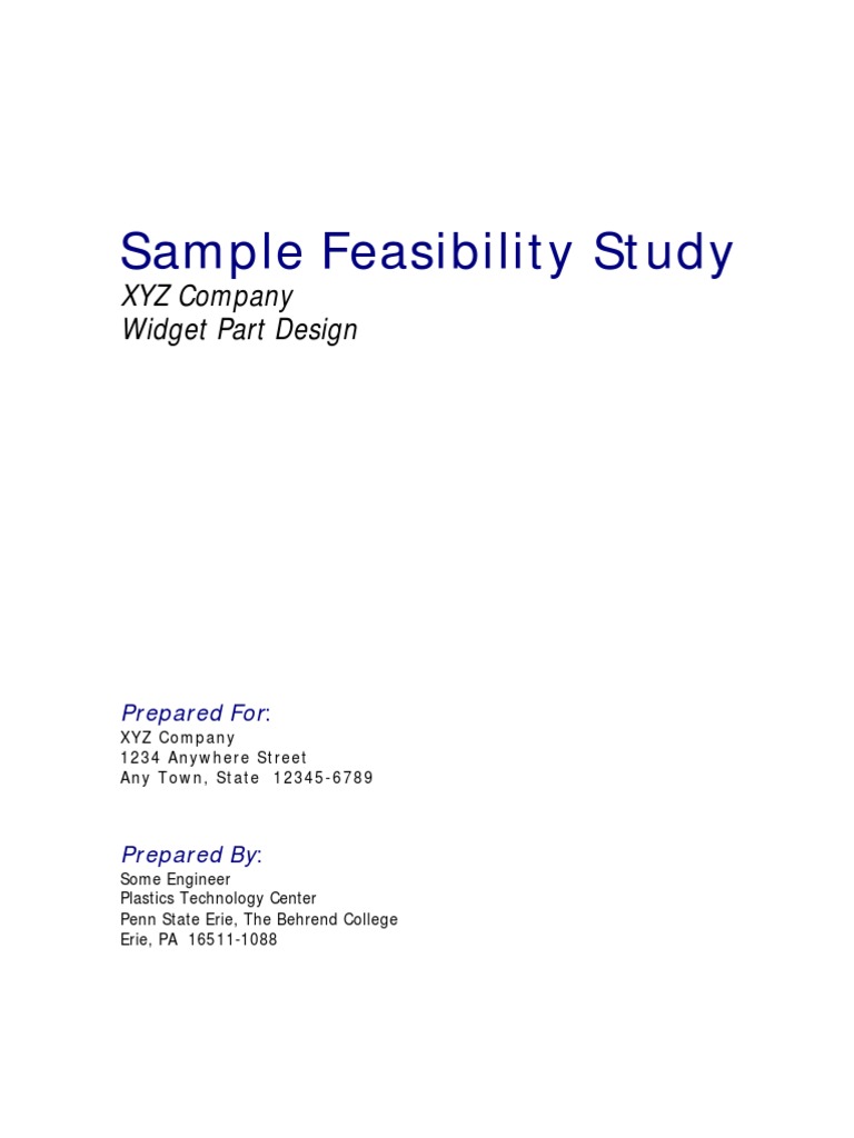 Sample Feasibility Study: XYZ Company Widget Part Design | PDF | Nature