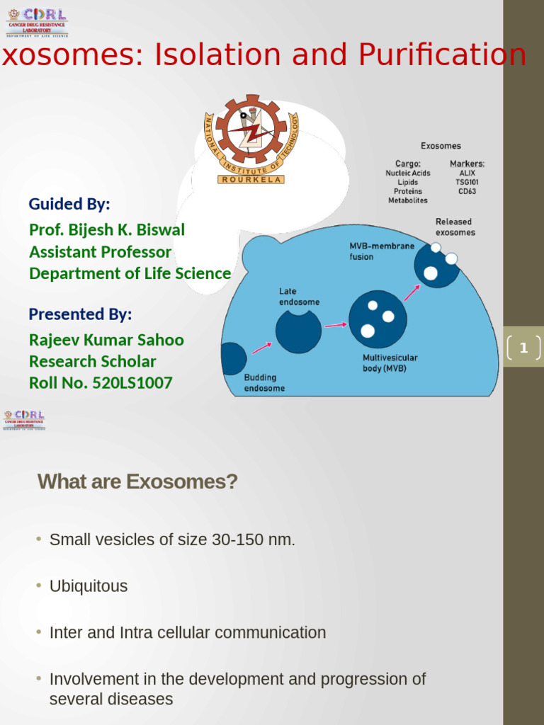 Exosome Isolation Techniques Overview | PDF | Protein Purification ...
