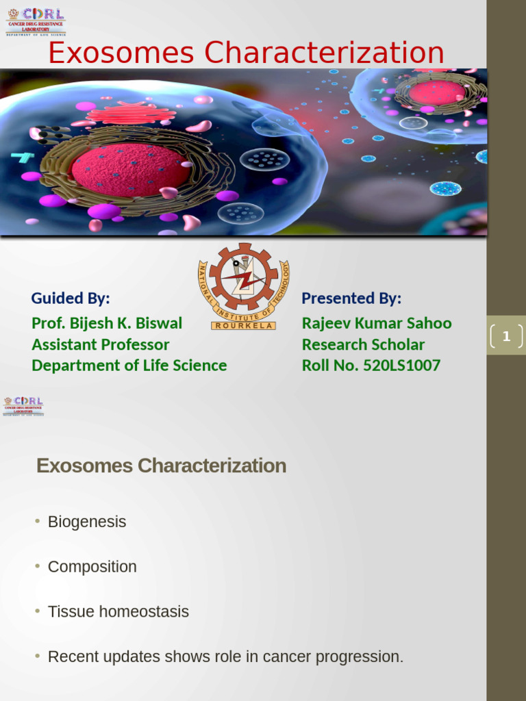 Exosomes Characterization | PDF | Vesicle (Biology And Chemistry ...