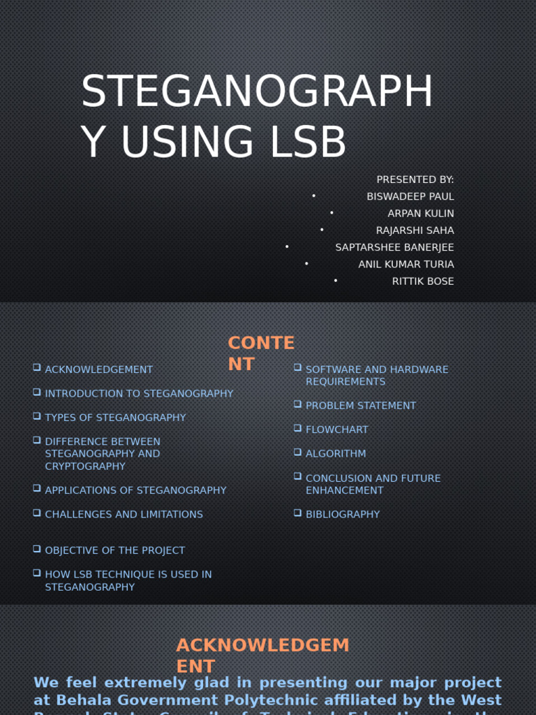 Steganography Using LSB | PDF | Computer Science | Telecommunications