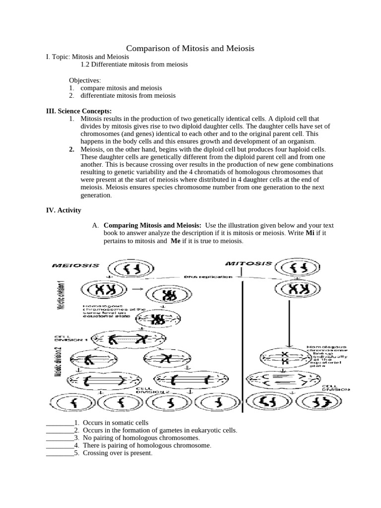 Comparison-of-Mitosis-and-Meiosis (1) | PDF | Meiosis | Ploidy