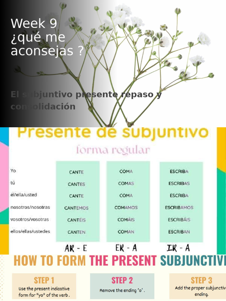 subjunctive intro | PDF