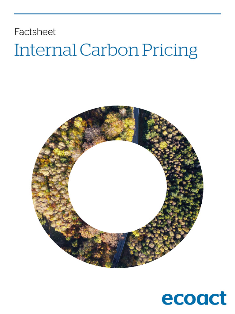 Internal Carbon Pricing Factsheet - EcoAct | PDF | Emissions Trading ...