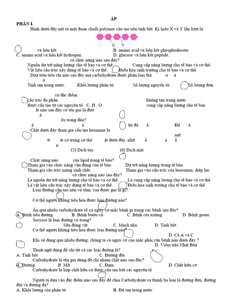 ÔN TẬP GHKI GỬi. Cau hoi on Sinh 10.HS | PDF