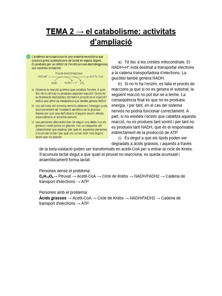 TEMA 2 → el catabolisme_ activitats d’ampliació | PDF