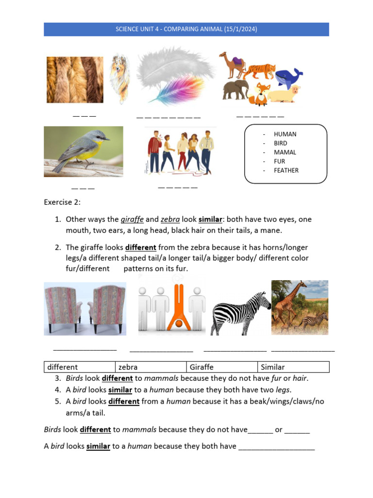 SCIENCE Comparing Animals | PDF