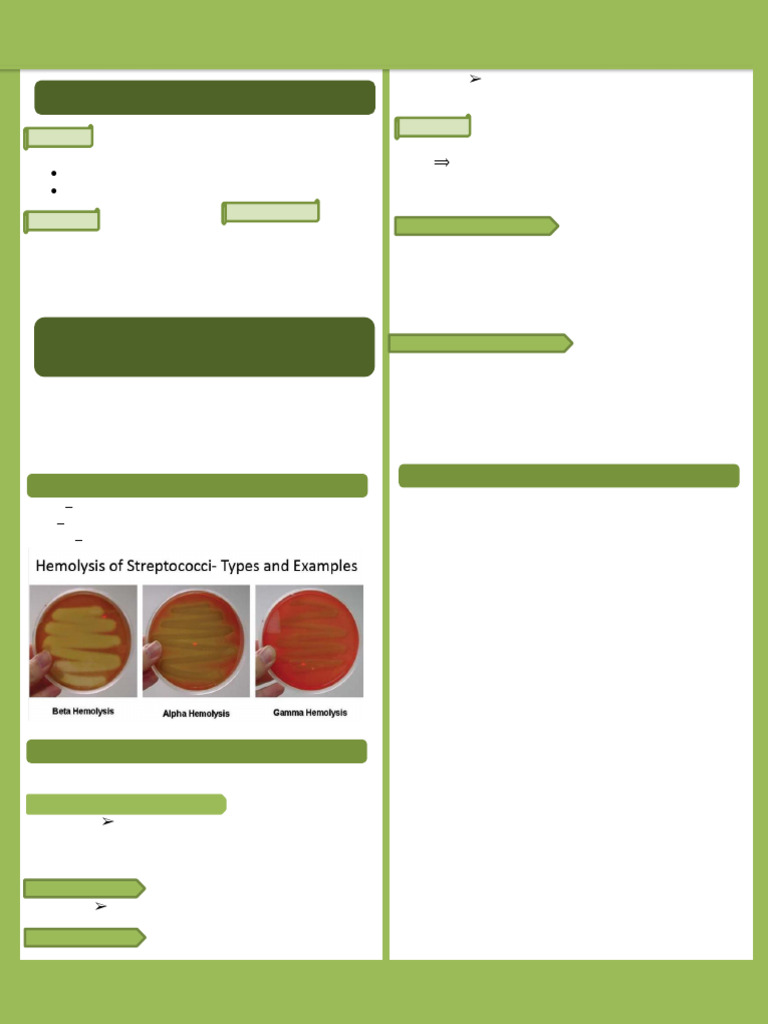 Study of Staphylococci | PDF | Staphylococcus