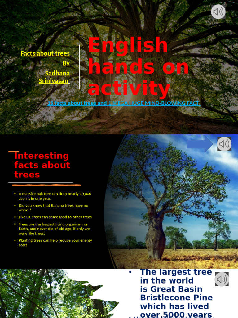 English Hands on Activity- Fun Facts About Trees (1) | PDF | Trees | Plants