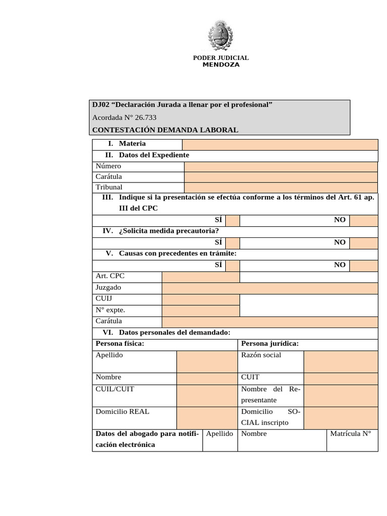 Declaración Jurada DJ02 Laboral | PDF | Ley Pública | Justicia