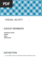 Visual Acuity Conversion Chart | PDF | Visual Acuity | Experimental ...