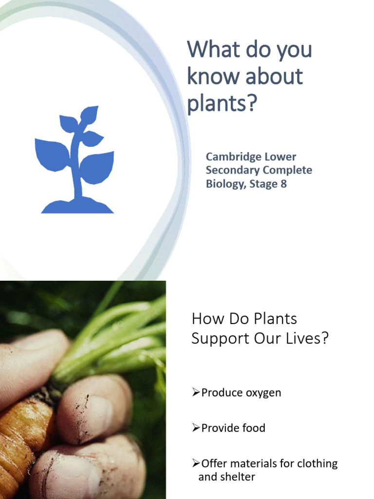What Do You Know About Plants | PDF