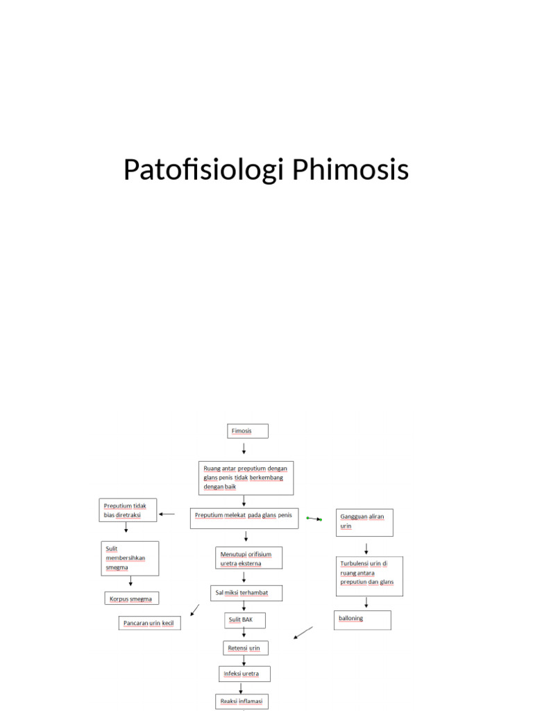 Patofisiologi Phimosis | PDF