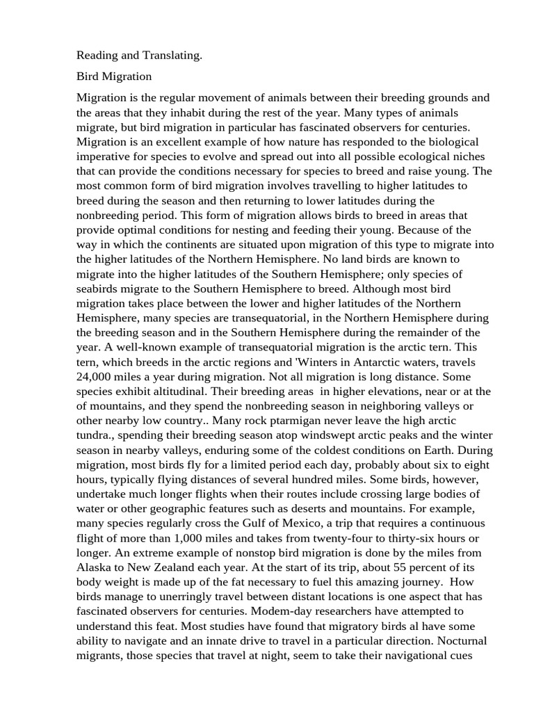 Understanding Bird Migration Patterns | PDF | Bird Migration | Birds