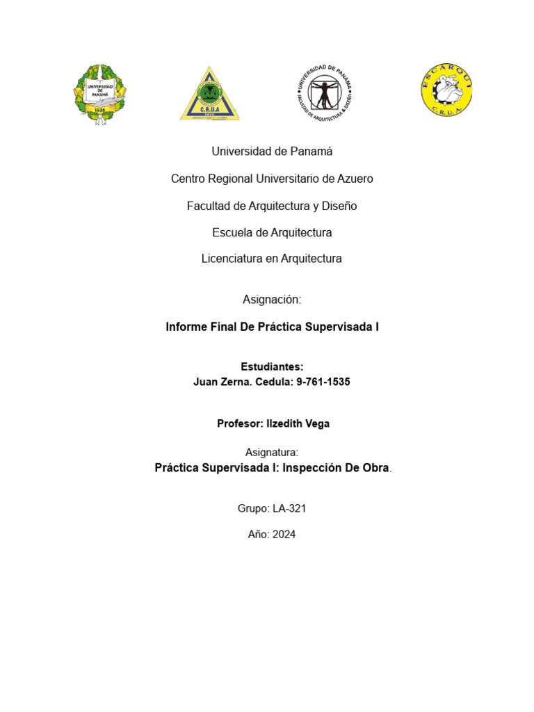 Informe de Practica Profesional | PDF