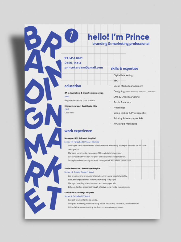 Prince Updated CV | PDF | Digital Marketing | Marketing