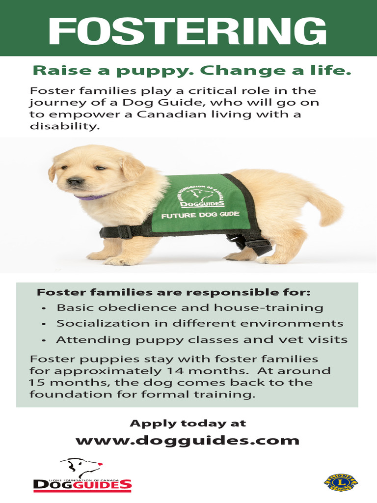 Become a Dog Guide Foster Family | PDF