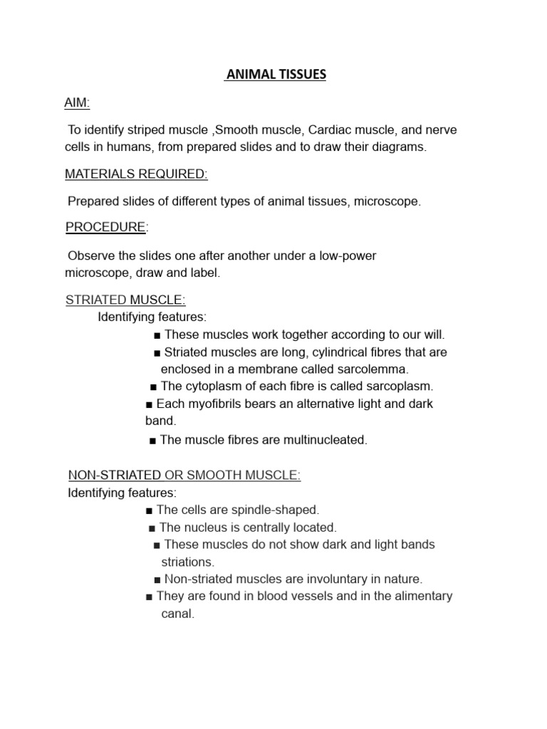 Identifying Animal Muscle and Nerve Tissues | PDF