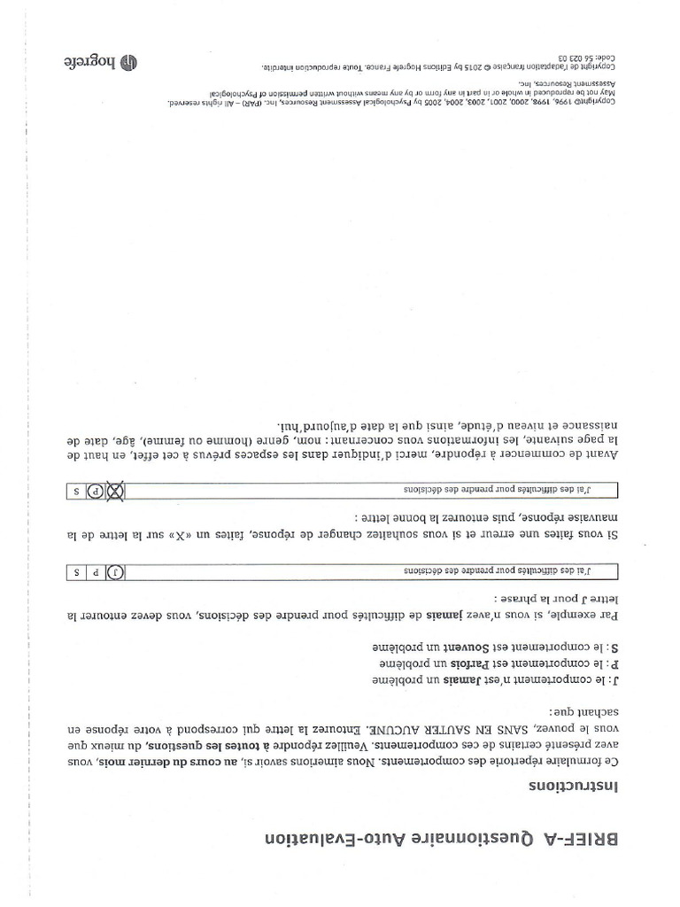 Brief Auto | PDF
