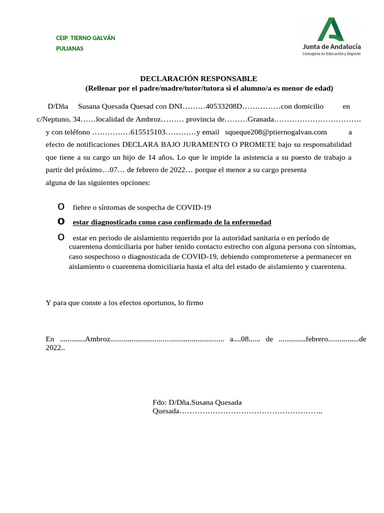 Declaración Responsable | PDF