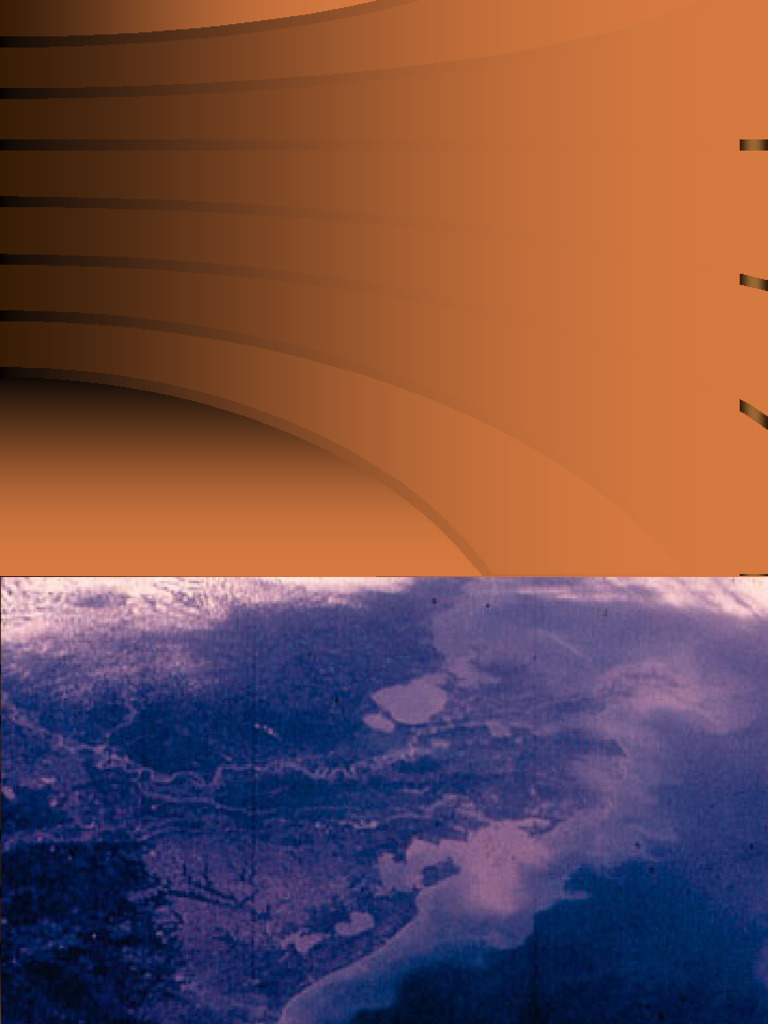 DELTAIC ENVIRONMENT | PDF | River Delta | Shoal