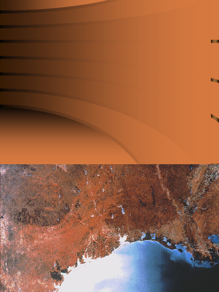 Coastal Environment | PDF | Estuary | River Delta