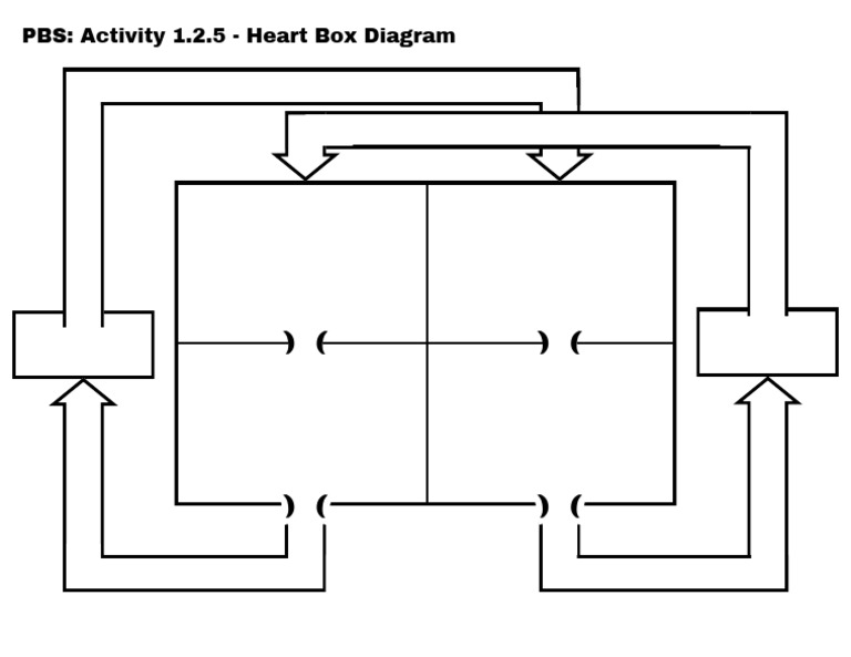 PBS Activity 1.2.5 Heart Box Diagram | PDF