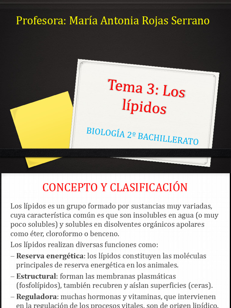 Tema 3 Lipidos | PDF | Lípido | Ácido graso