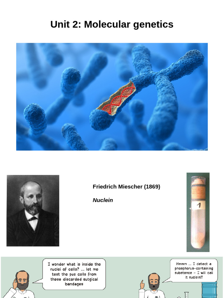 UD2 Molecular Genetics | PDF | Molecular Cloning | Dna