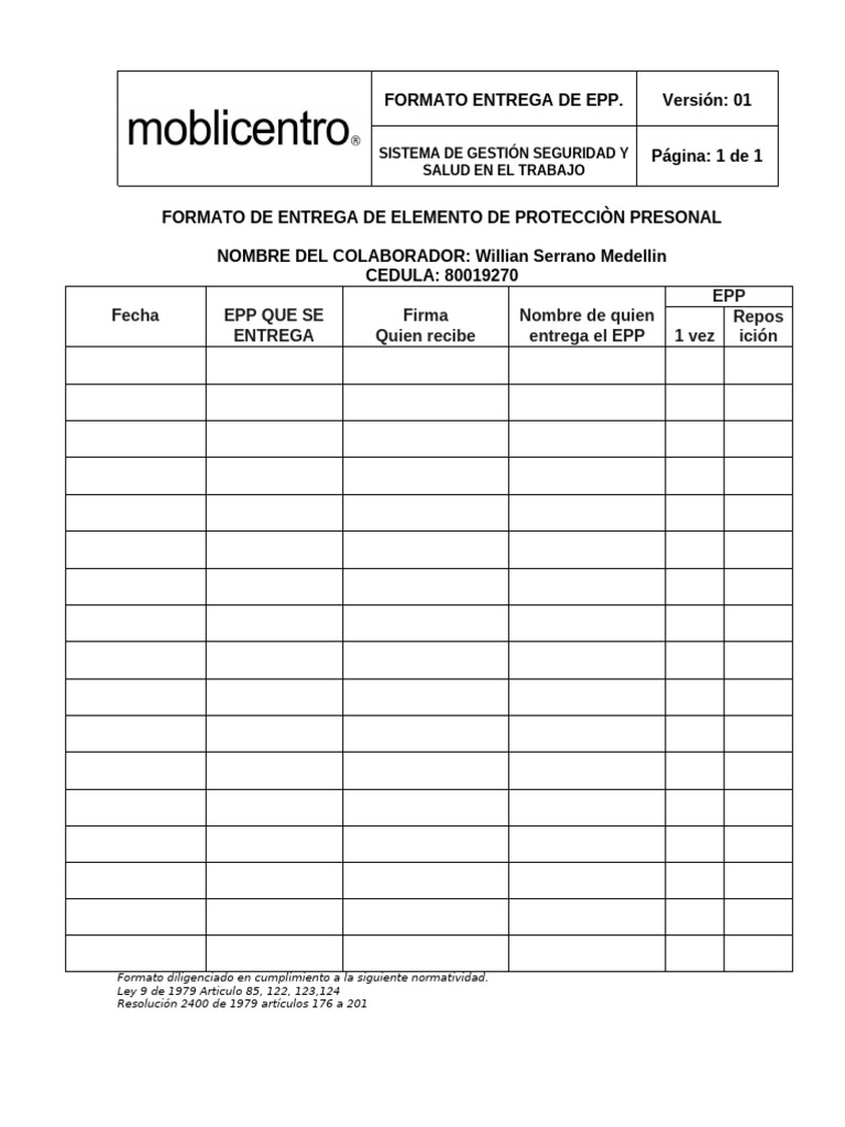 Formato de Entrega Epp | PDF