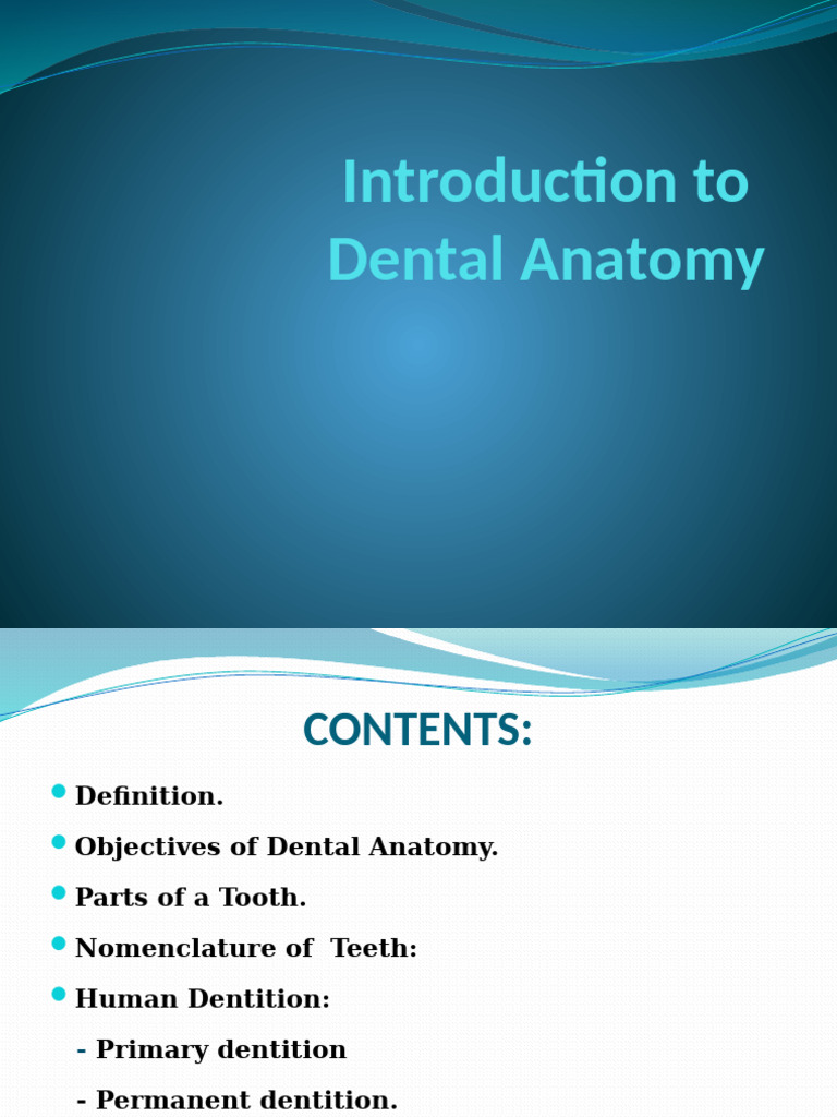 1_Introduction to Dental Anatomy-1 | PDF | Human Tooth | Tooth