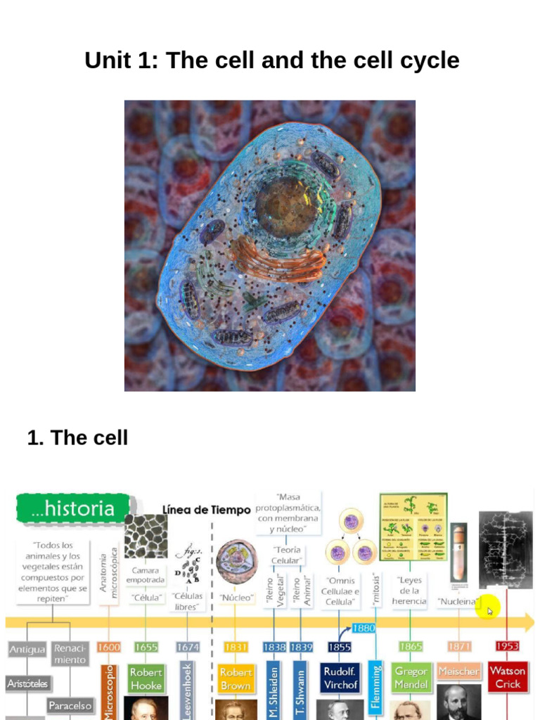 Cell Biology for Students | PDF | Cell (Biology) | Meiosis