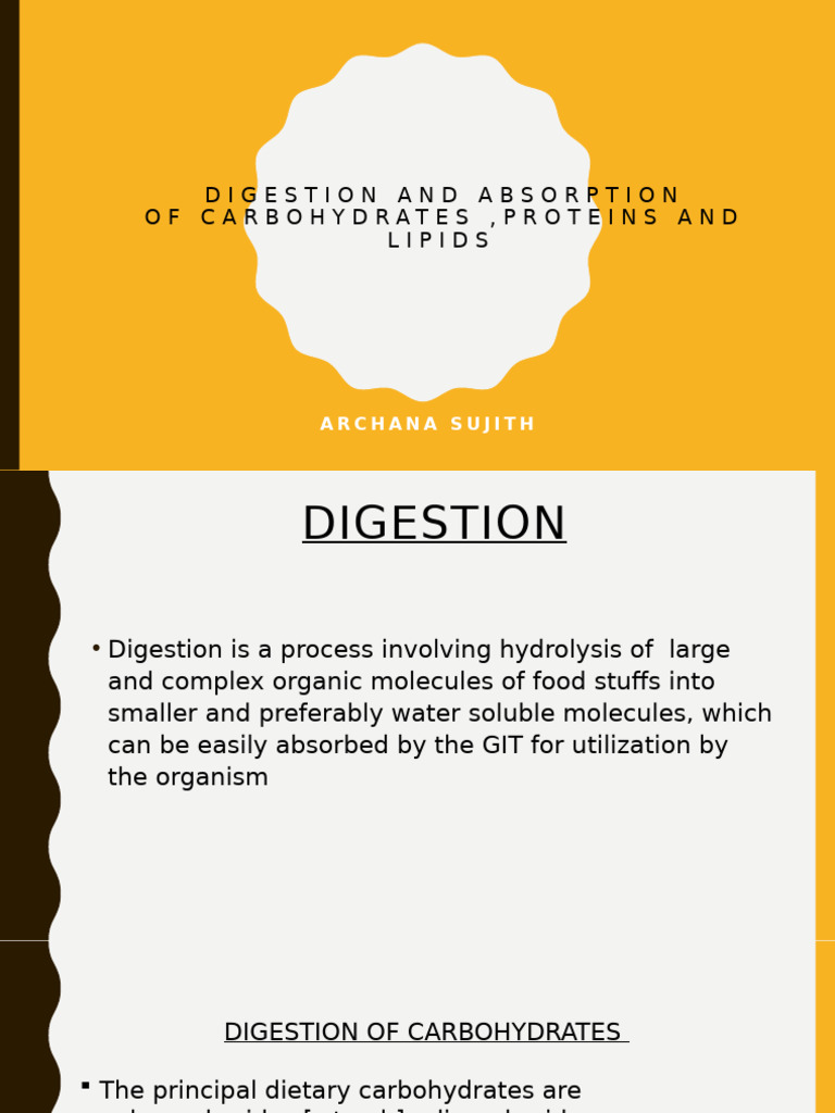 Digestion and Absorption - 1 | PDF | Digestion | Protease