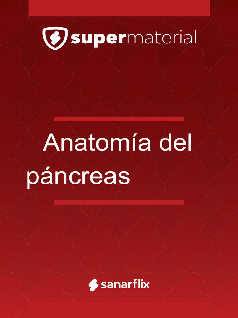 Anatomía y Vascularización del Páncreas | PDF | Páncreas | Abdomen