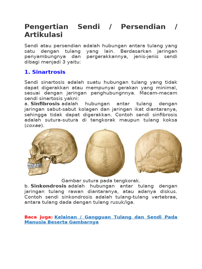 Jenis-Jenis Sendi dan Fungsinya | PDF