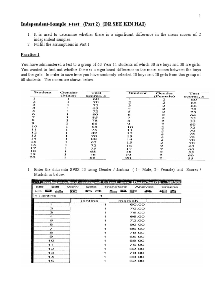 Independent-Sample t-Test Analysis Guide | PDF