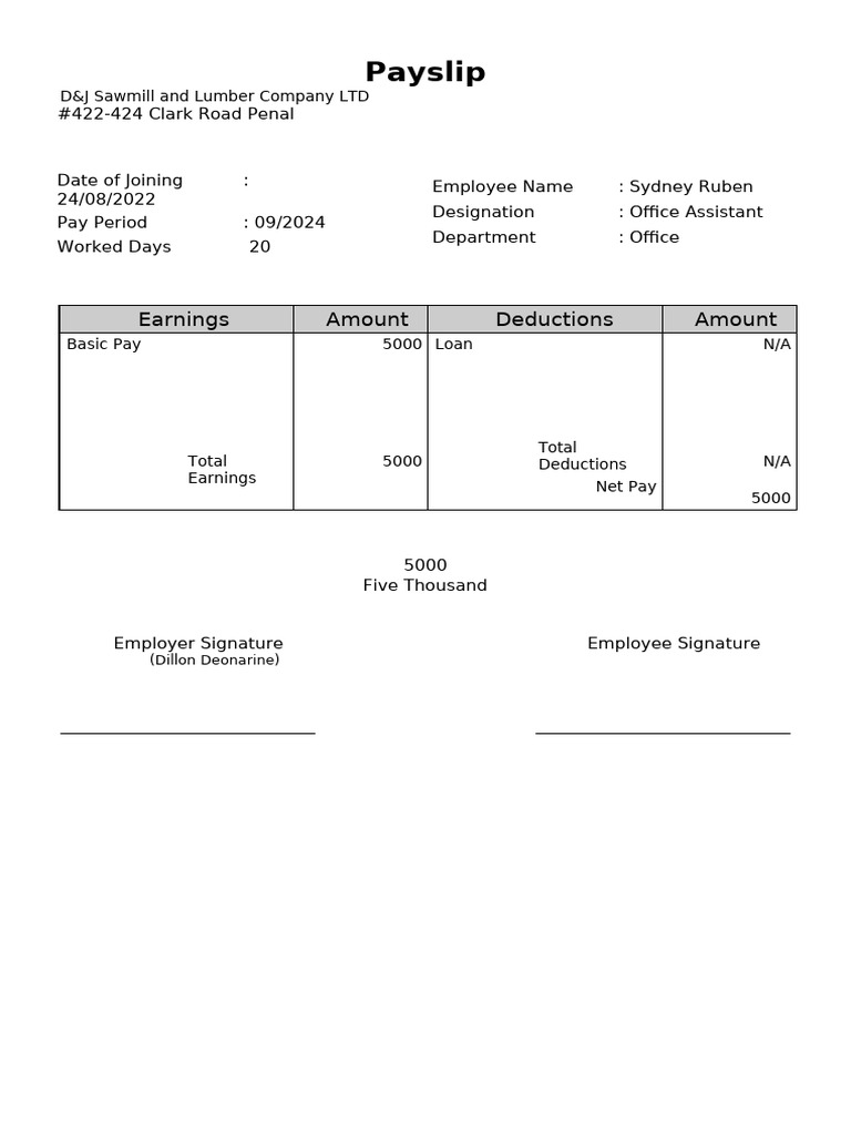 Payslipe Template | PDF