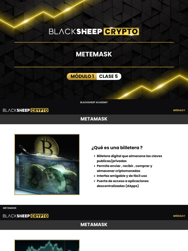 Guía de Instalación y Uso de MetaMask | PDF | Ciencias de la Computación | Informática