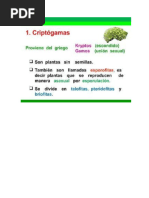Ejemplos de Plantas Criptógamas | PDF | Plantas | Algas