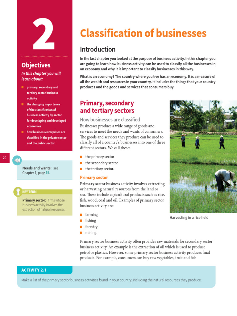 Understanding Business Activity Sectors | PDF | Goods | Tertiary Sector ...