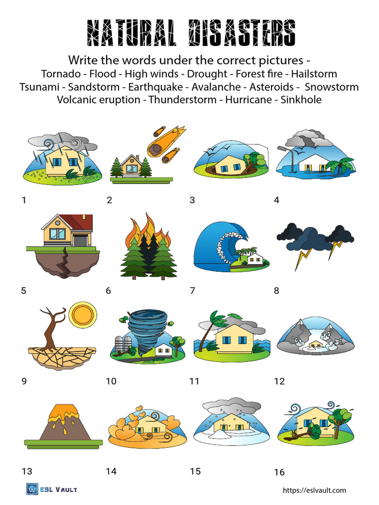 Natural Disasters Worksheet | PDF