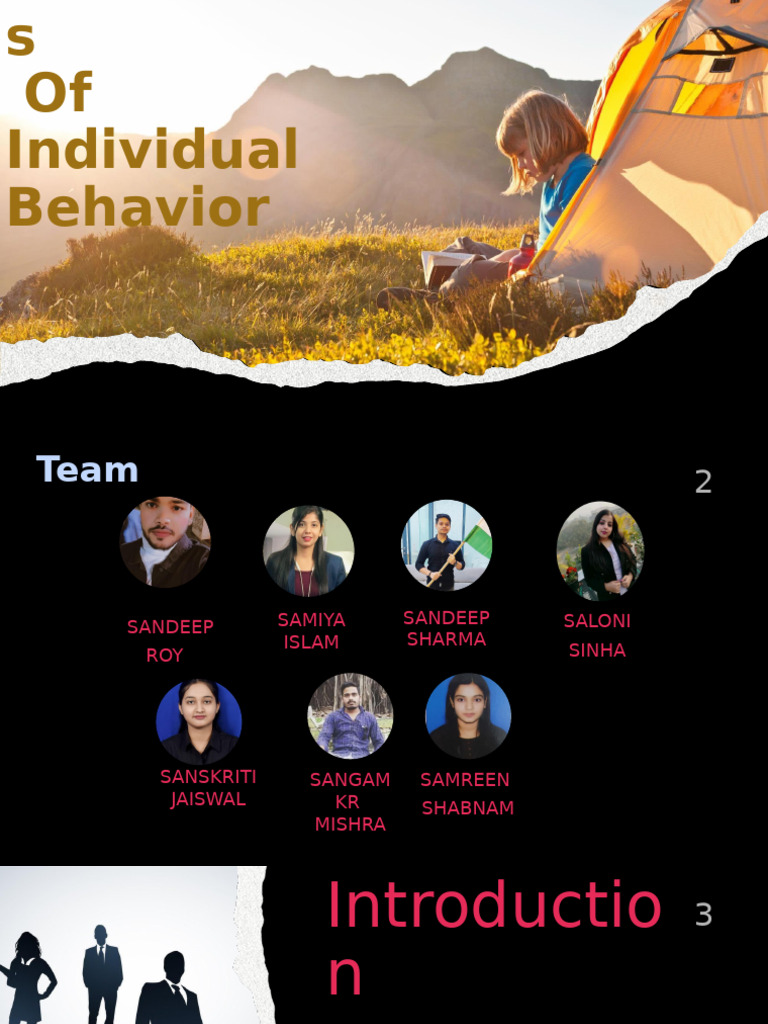 Mcob Behaviour Presen | PDF | Perception | Attitude (Psychology)