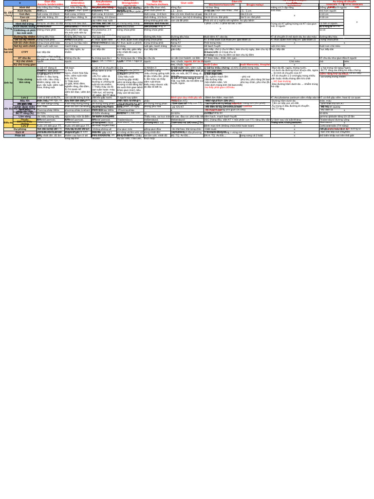 (BHT) T NG H P KST | PDF