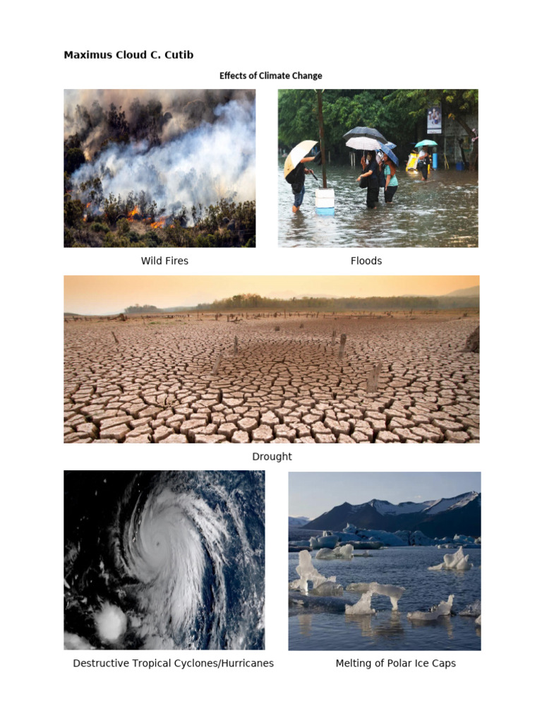 Effects of CLimate Change | PDF