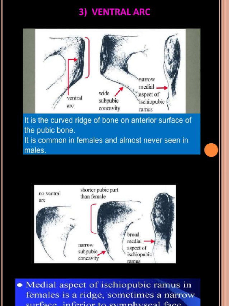 Sex Identification Methods 2 Pdf