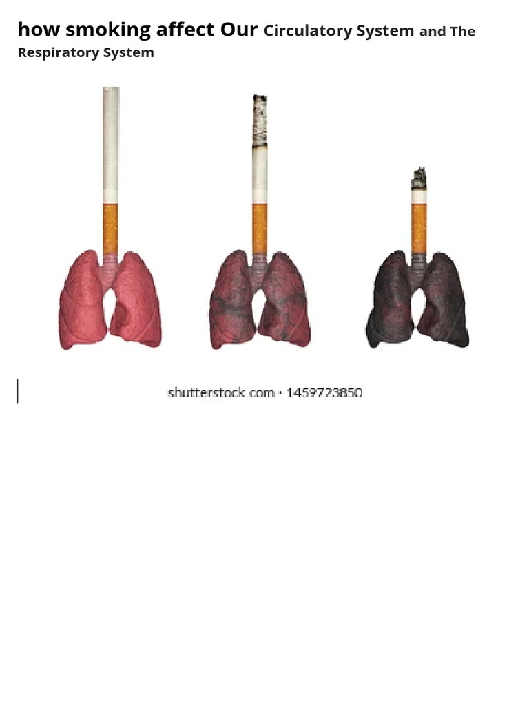 How Smoking Affect Our Circulatory System and The Respiratory System | PDF