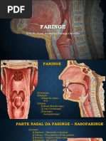 Anatomia Da Faringe | PDF | Laringe | Sistema respiratório