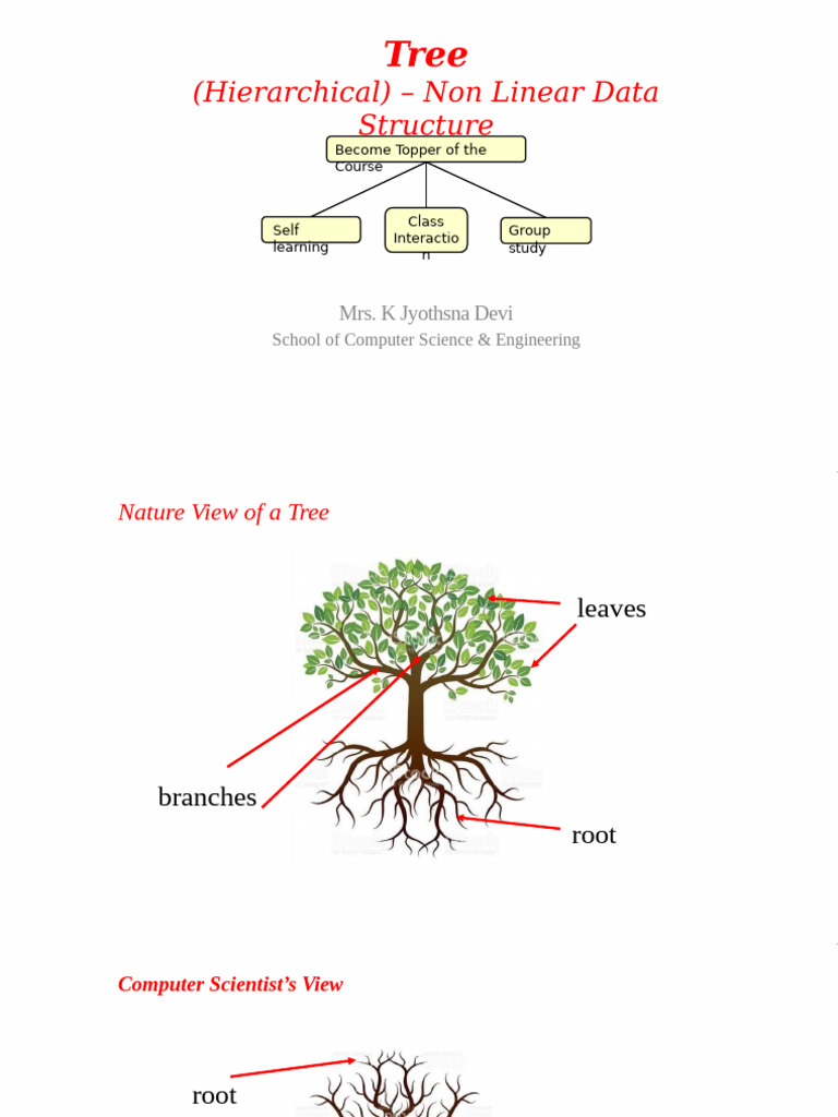 8-Binary Tree Insertion and Deletion | PDF | Computer Programming ...