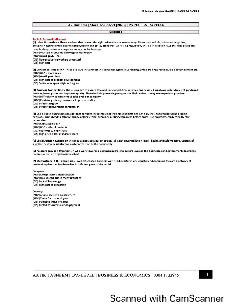Business Marathon Sheet | PDF