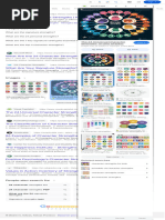 DBP Application For Employment | PDF | Labour